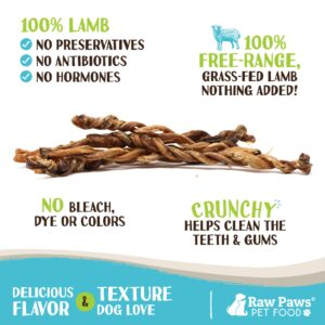 Raw Paws Lamb Pizzle Twists for Dogs, 5-9" (10 Pack) - USA Packed Natural Lamb Pizzle Sticks - Free-Range, Digestible Lamb Bully Sticks - Grain-Free Lamb Twist Dog Chew Sticks - Lamb Dog Treats