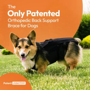 Dog Back Brace for IVDD - Orthopedic Support Back Brace for Dogs - Herniated & Slipped Disc, Pre & Post-Surgical Spinal Support - Made in USA