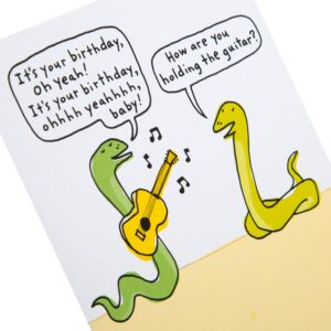 Hallmark General Birthday Card - Shoebox Humour Design