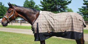 5/a baker turnout sheet for horses black label - size 80 plaid