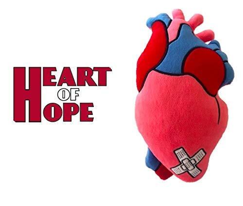 Zymise TANGDIAABBCC Heart of Hope - Stuffed Plush Anatomical Heart Pillow