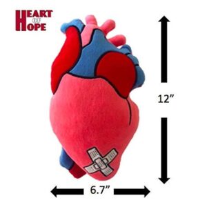 Zymise TANGDIAABBCC Heart of Hope - Stuffed Plush Anatomical Heart Pillow