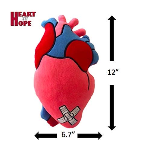 Zymise TANGDIAABBCC Heart of Hope - Stuffed Plush Anatomical Heart Pillow