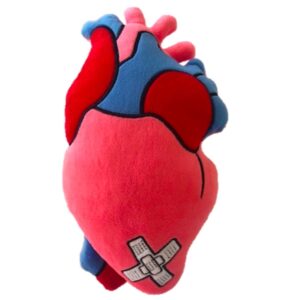 zymise tangdiaabbcc heart of hope - stuffed plush anatomical heart pillow