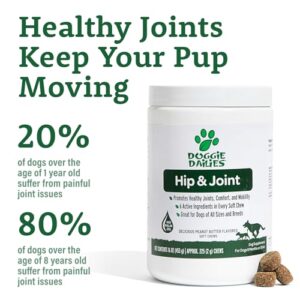 Doggie Dailies Glucosamine for Dogs - 225 Chews - Joint Supplement for Dogs of All Breeds & Sizes - Hip and Joint Supplement for Dogs - Premium Glucosamine and Chondroitin for Dogs (Peanut Butter)