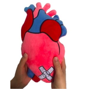 Zymise TANGDIAABBCC Heart of Hope - Stuffed Plush Anatomical Heart Pillow