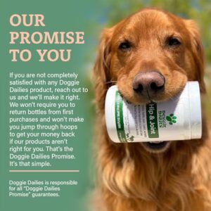 Doggie Dailies Glucosamine for Dogs - 225 Chews - Joint Supplement for Dogs of All Breeds & Sizes - Hip and Joint Supplement for Dogs - Premium Glucosamine and Chondroitin for Dogs (Peanut Butter)