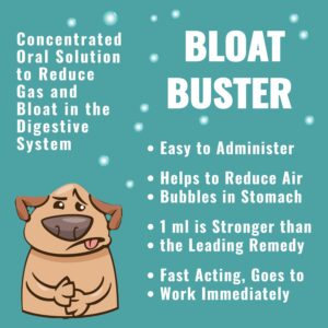 Dogzymes Bloat Buster (8 Ounce)