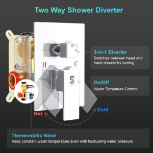 SR SUN RISE 12 Inch Slide Bar Shower System, Square Rain Shower Head and Handheld Spray, Wall Mounted Shower Faucets Sets Complete Included Valve and Shower Trim Kit, Polished Chrome