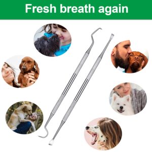 Mudder 4 Pieces Pet Tooth Scaler and Scraper Set Stainless Steel Pet Teeth Cleaning Tool Tartar Remover for Dogs Cats