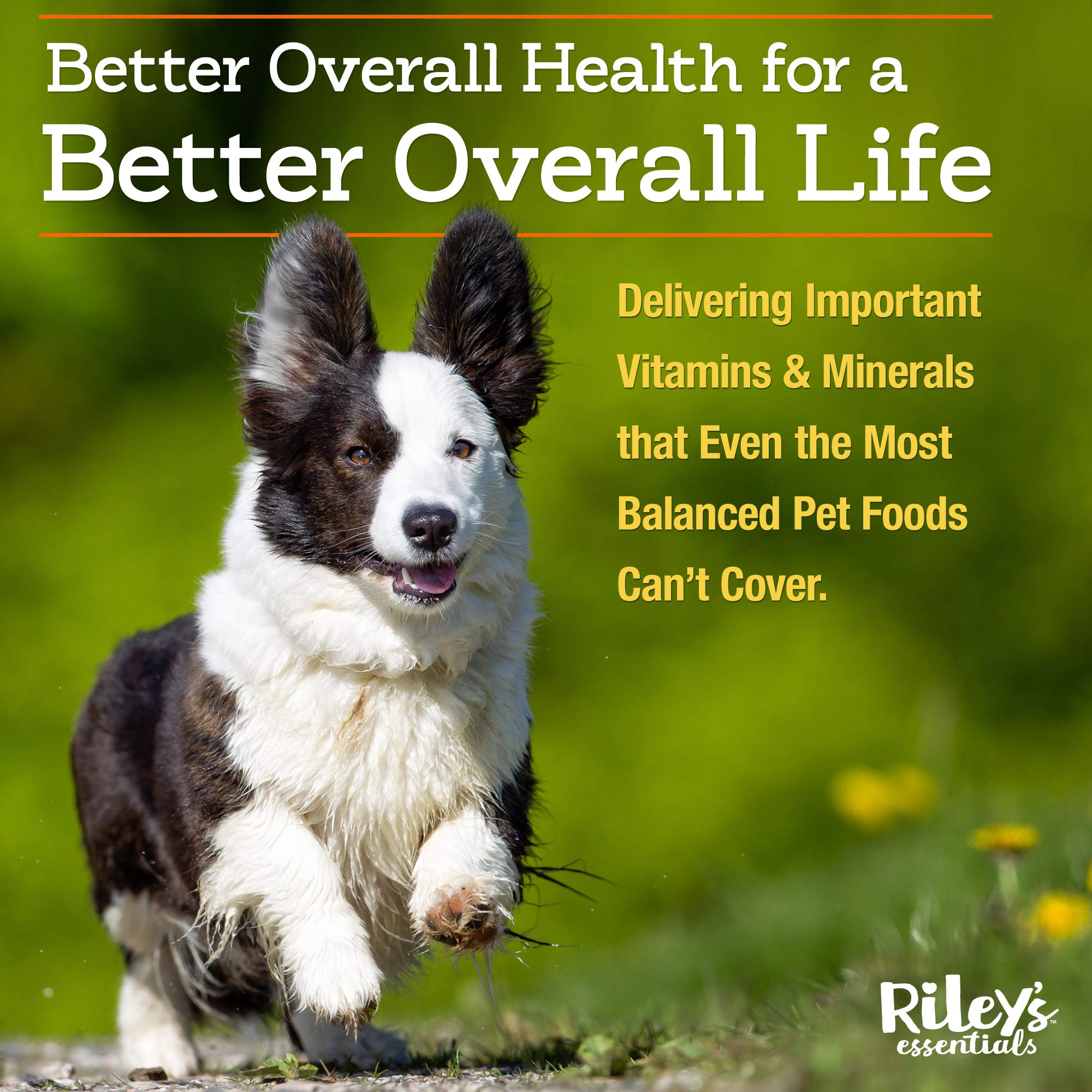 Riley's Multi-Essentials Multivitamin for Dogs - Vitamins, Minerals, Spirulina, Kelp, and Milk Thistle for Nutritional Support - Puppy and Senior Dog Vitamins - 8oz Powder