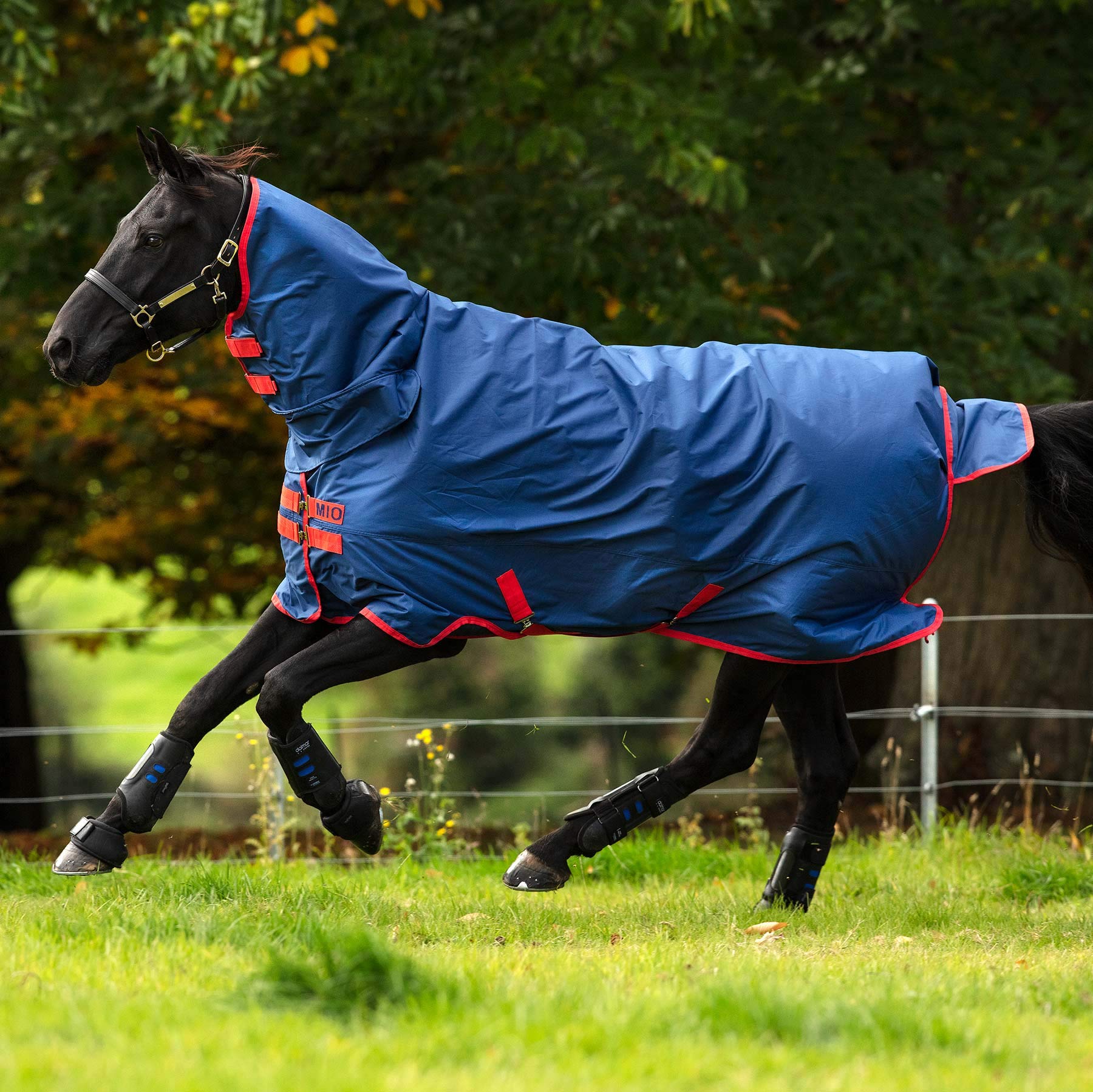 Horseware Ireland Mio All-in-One Turnout Sheet Dark Blue/Red 75