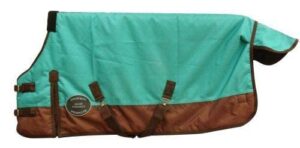 showman pony/yearling 56"- 62" 1200 denier waterproof & breathable turnout sheet (teal)