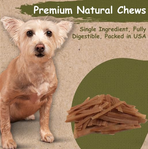 Top Dog Chews - Flat Turkey Tendons for Dogs, 1LB / 16 OZ, Made in The USA, 100% Natural Chew Treats for Dental Care and Stress Relief, Puppy Training Treats for All Breeds