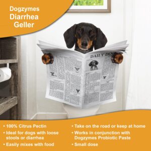 Dogzymes Diarrhea Geller (1 Pound)