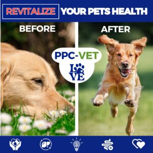 Nutrasal PPC-Vet Polyunsaturated Phosphatidylcholine Liver and Brain Health Supplement for All Sized Cats and Dogs 1000mg PPC / 5mL - Liposomal Liquid 8 oz