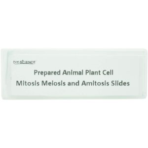 Prepared Animal Plant Cell Mitosis Meiosis Amitosis Comparison Microscope Slides Set, 5pcs Specimens to Display with Students in Biology Class (Mitosis & Meiosis)