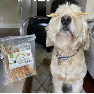 Green Butterfly Brands Beef Tendons for Dogs Made in USA. 6-10 Inch Grass Fed Farm-Raised American Beef Dog Treats. All Natural Dog Dental Chews. Grain Free Odor-Free Beef Dog Chews (8 OZ)