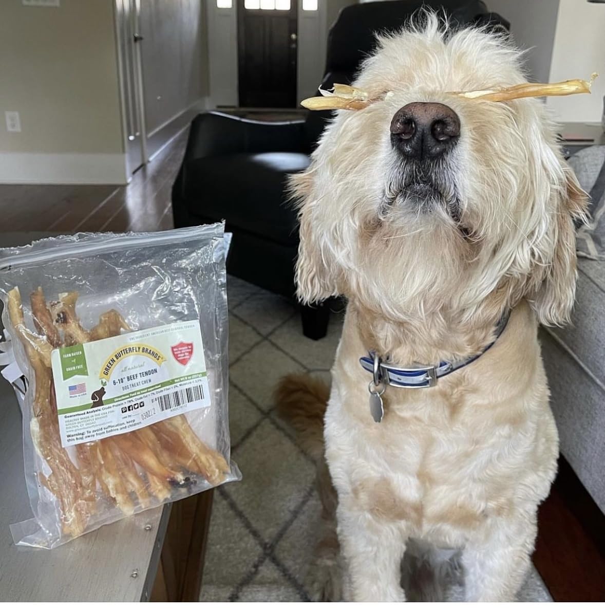 Green Butterfly Brands Beef Tendons for Dogs Made in USA. 6-10 Inch Grass Fed Farm-Raised American Beef Dog Treats. All Natural Dog Dental Chews. Grain Free Odor-Free Beef Dog Chews (8 OZ)