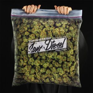 Sour Diesel Giant Stash Weed Pillowcase | Decorative Throw Pillow Cover with Realistic Reefer Imagery | Secret Pocket Compartment | Fits 18 x 18 Inch Pillow Insert | Weed Decor