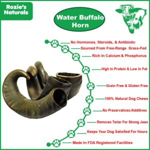 WATER BUFFALO HORN-100% Natural, Long-Lasting, Grain-Free, Gluten-Free, Dog Dental Treats & Chews-2 COUNT-15 oz