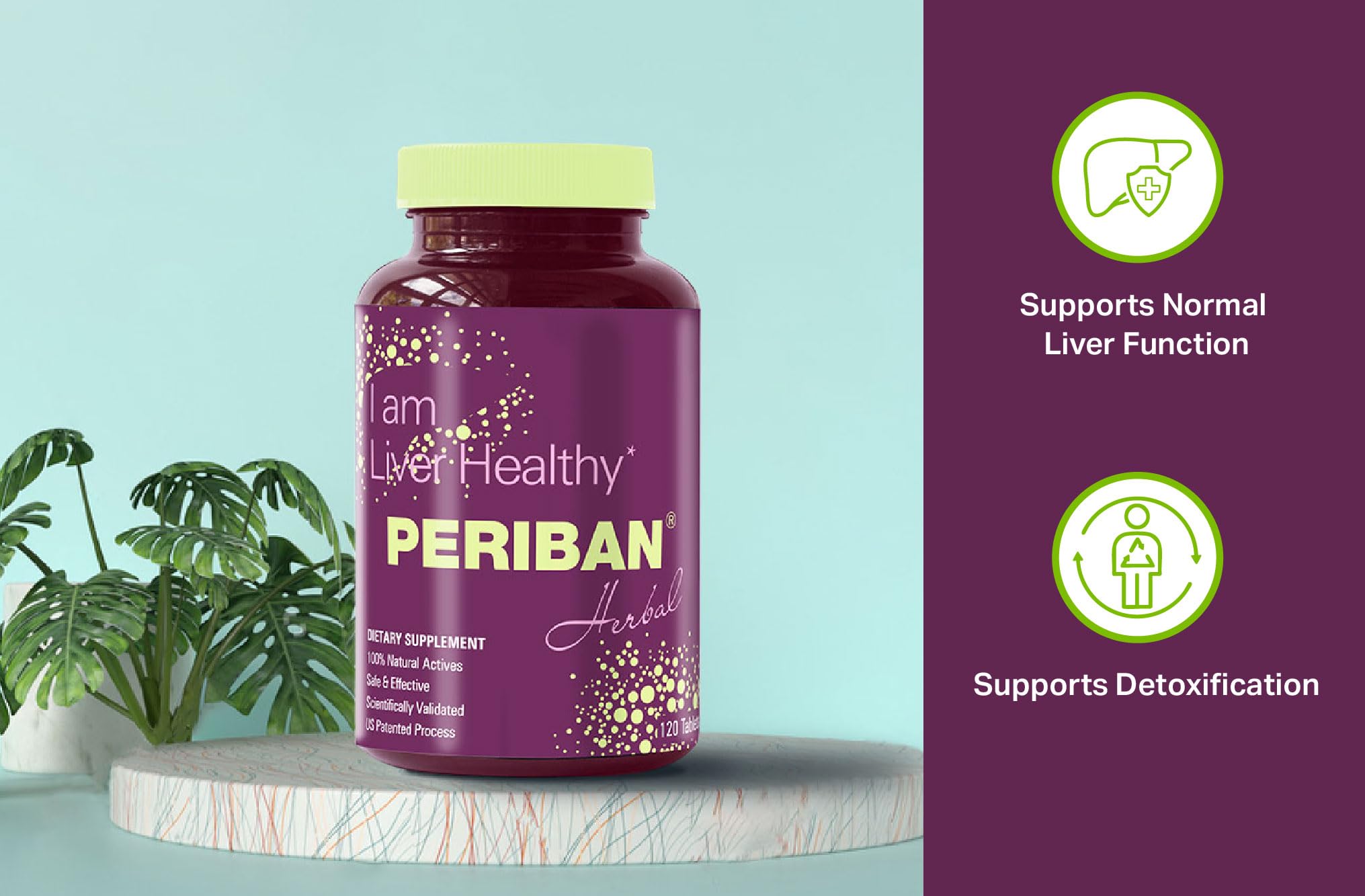 PERIBAN Liver Support -Blend of Andrographis Paniculata, Boerrhavia Diffusa, Tephrosia Purpurea, Phyllanthus Niruri. Proven to Support The Body's Natural Liver Functions and Immune Health