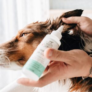 SKOUT'S HONOR Dog Ear Cleaner Solution with Aloe Vera - Alcohol-Free, Fragrance-Free, Non-Medicated Ear Wash for Dogs, 4 oz.