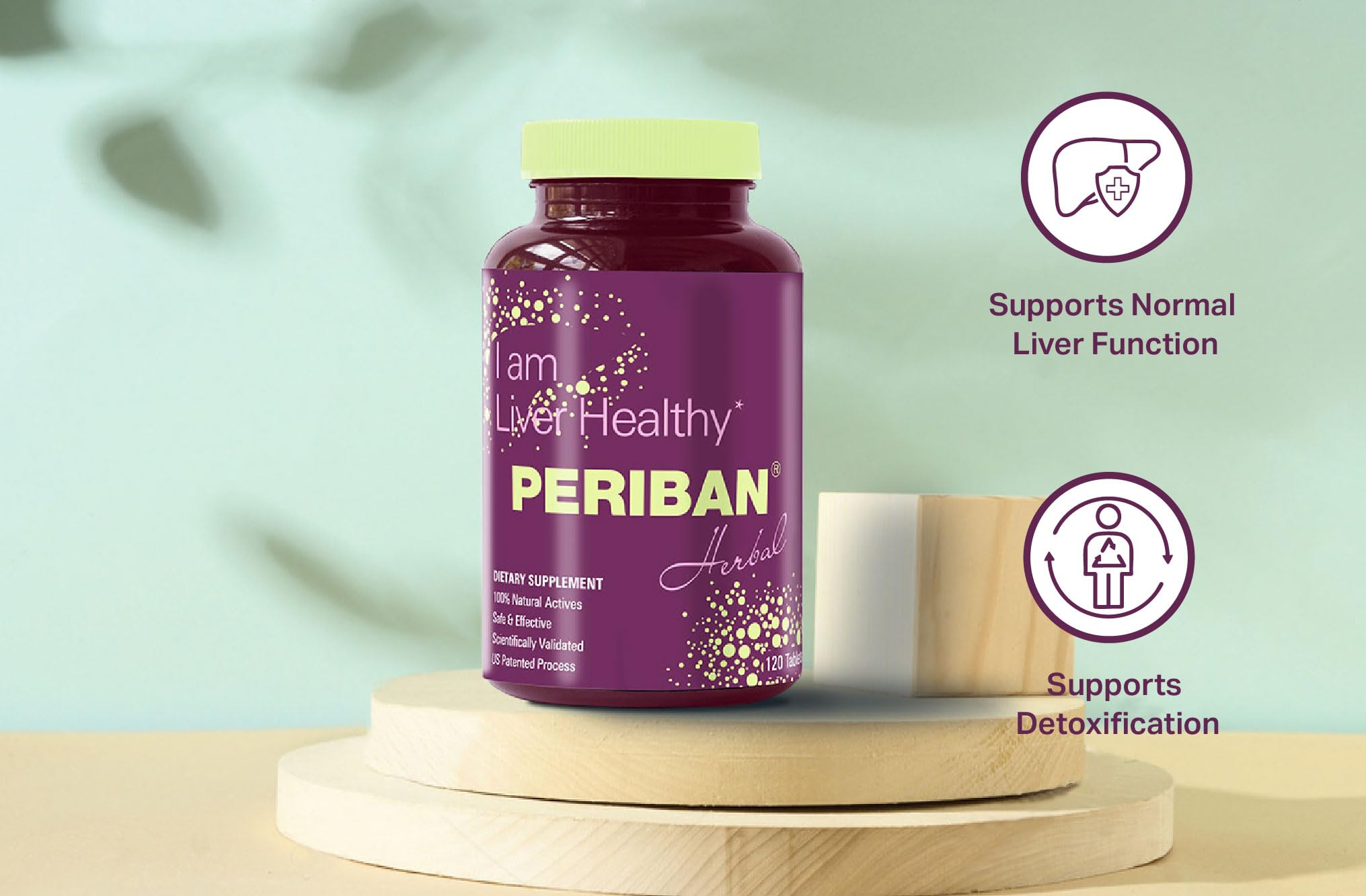 PERIBAN Liver Support -Blend of Andrographis Paniculata, Boerrhavia Diffusa, Tephrosia Purpurea, Phyllanthus Niruri. Proven to Support The Body's Natural Liver Functions and Immune Health