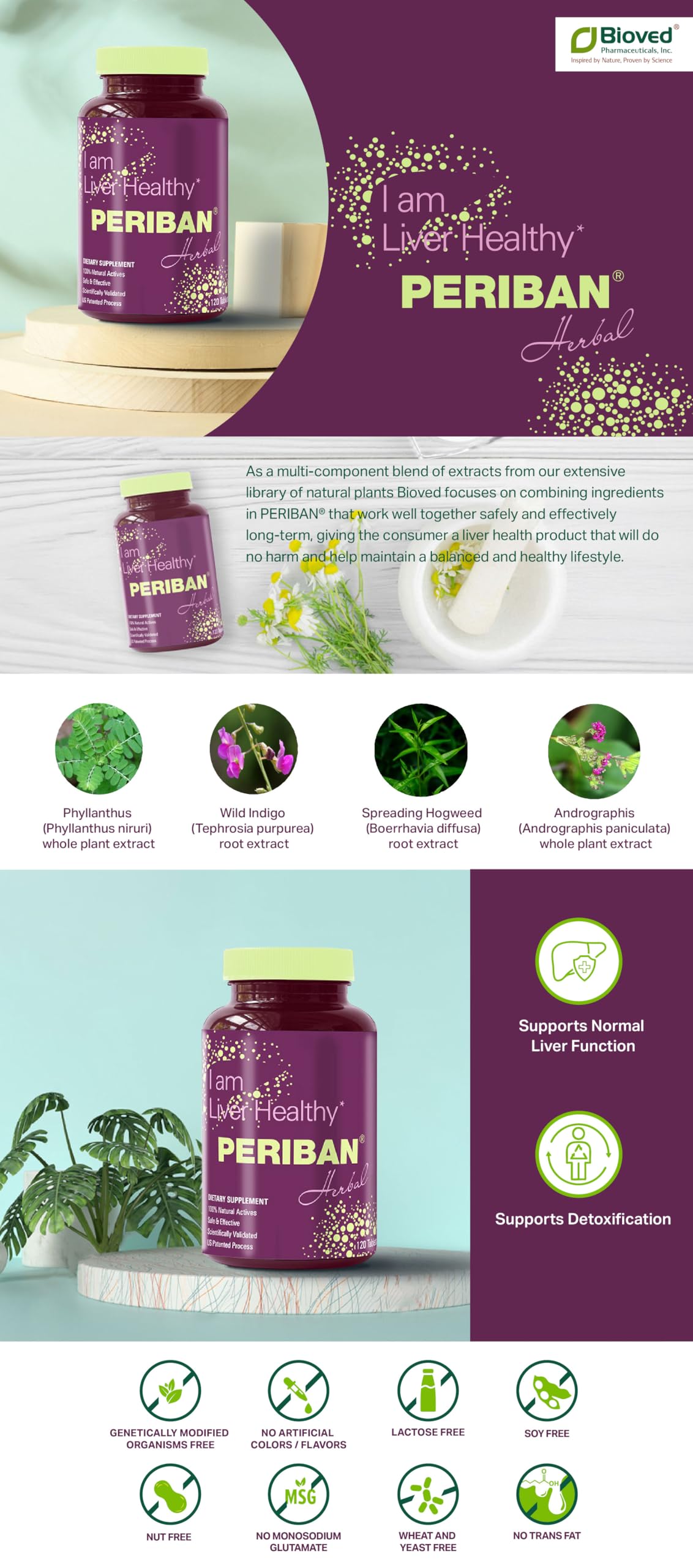 PERIBAN Liver Support -Blend of Andrographis Paniculata, Boerrhavia Diffusa, Tephrosia Purpurea, Phyllanthus Niruri. Proven to Support The Body's Natural Liver Functions and Immune Health