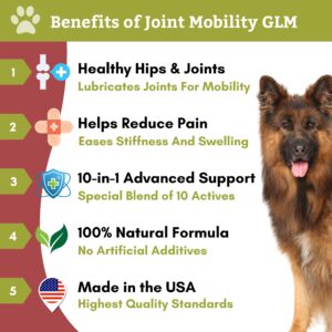 Wholistic Pet Organics Joint Supplement: Joint Mobility with Green Lipped Mussel Daily Joint Health Supplements for Dogs - Dog Glucosamine Powder with MSM, Probiotics, Vitamins, Minerals - 4 Lb