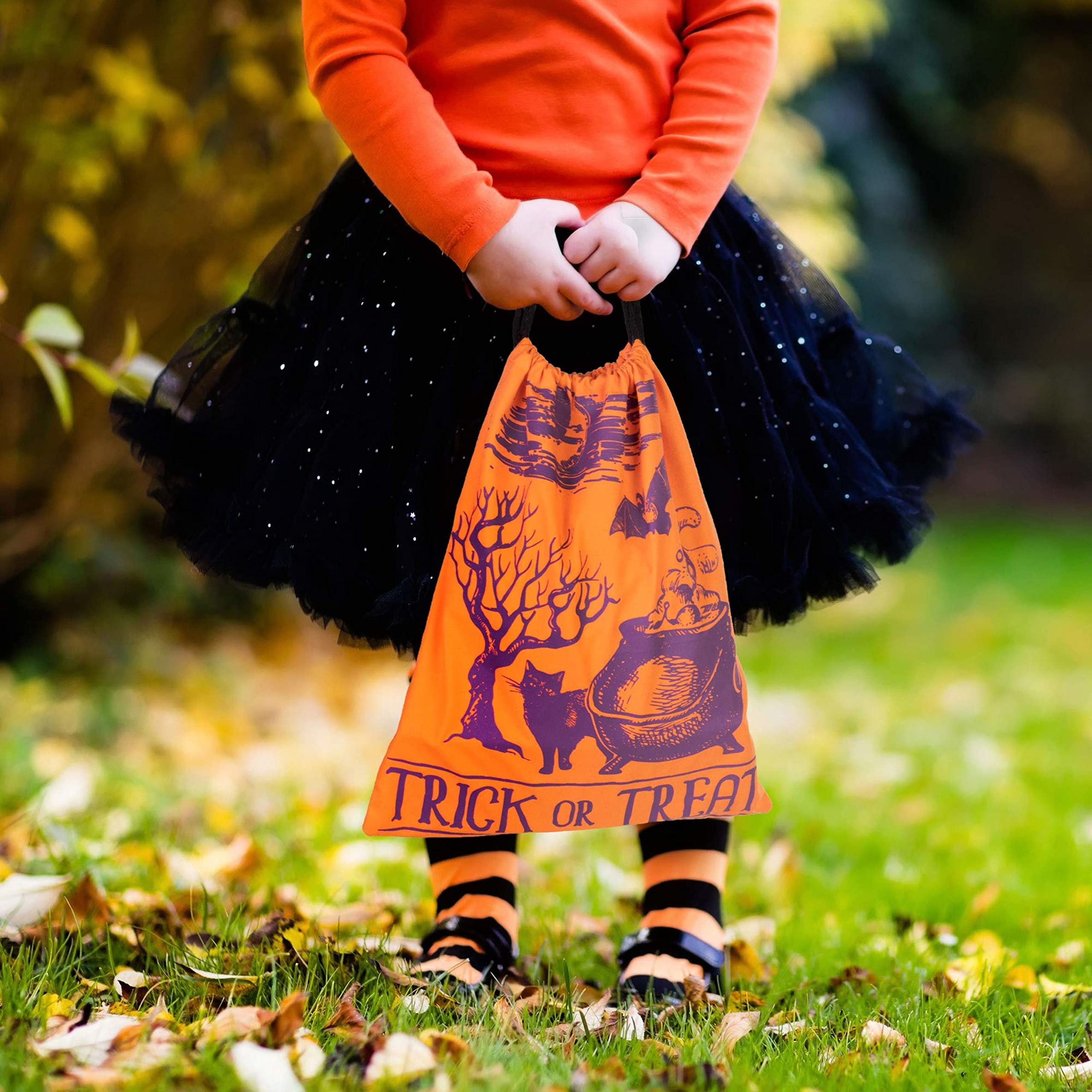 Halloween Trick or Treat Candy Bag | Washable Canvas Tote Bag | Drawstring Bag for Halloween Candy | Haunted House