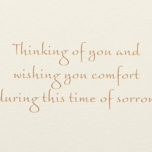 Papyrus Sympathy Card (Wishing You Comfort)