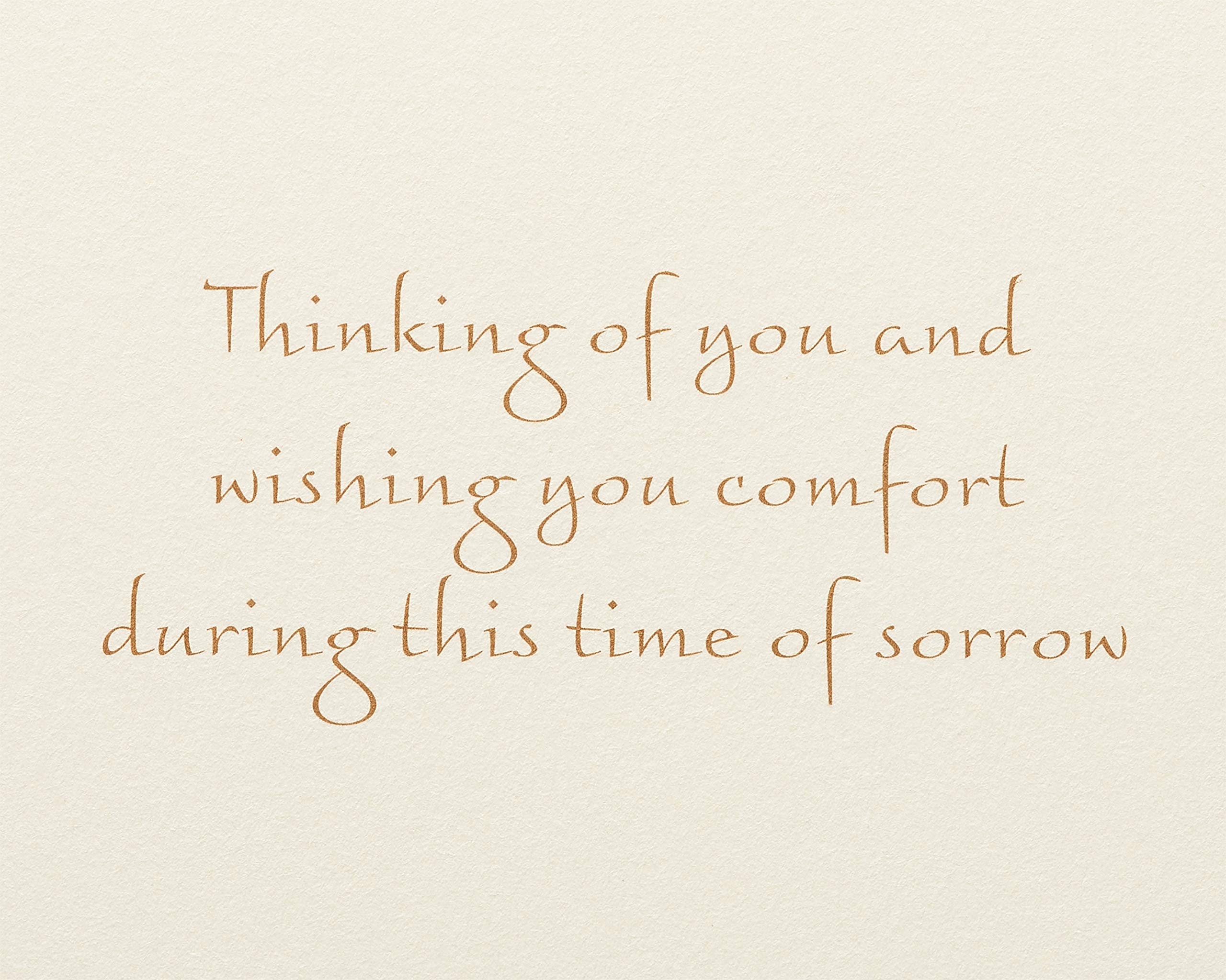 Papyrus Sympathy Card (Wishing You Comfort)