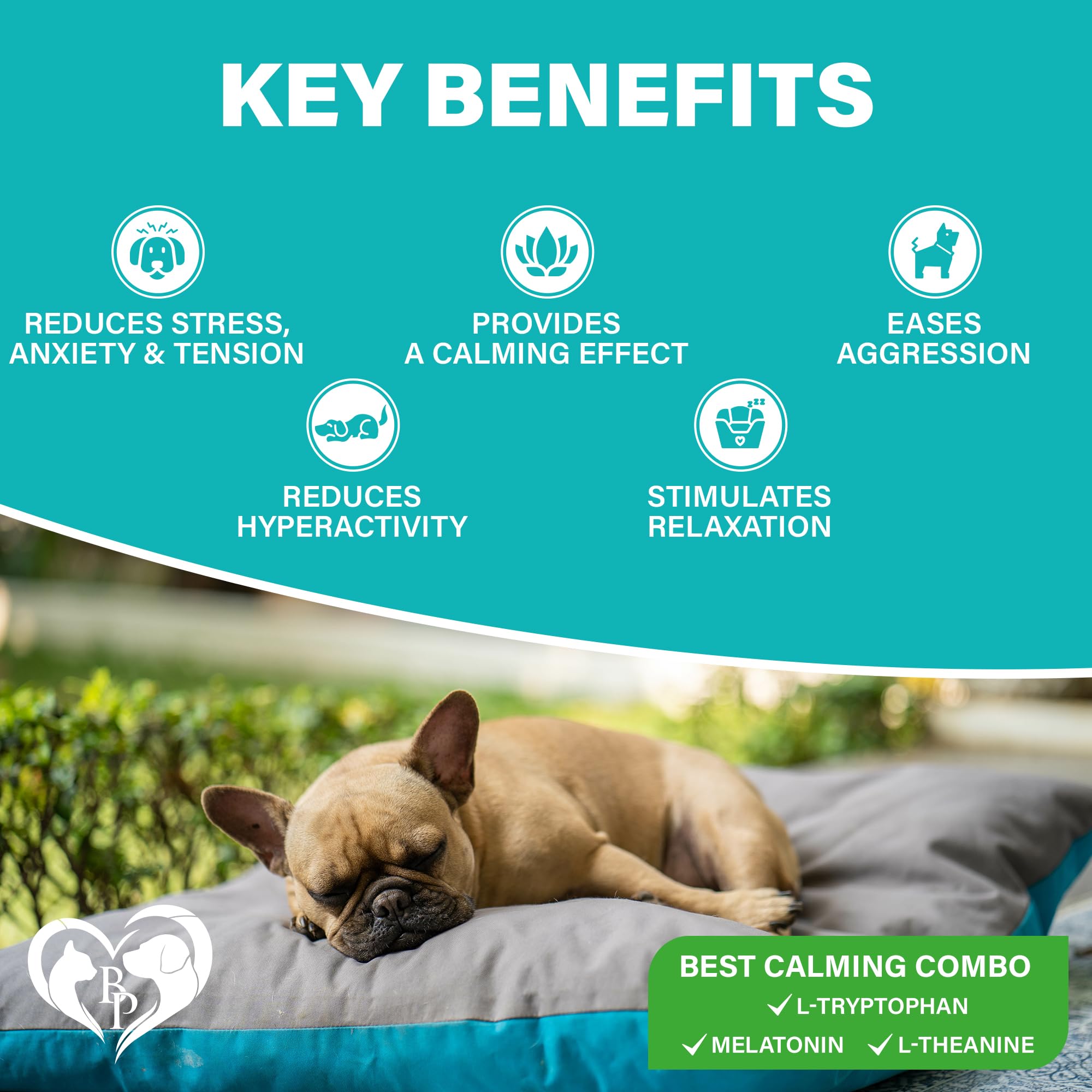 Hemp Calming Chews for Dogs & Puppy-Pet Separation Anxiety Relief Treats & Calm Aggressive Behavior - Melatonin Anti Stress Treatment Help with Thunder, Sleep Aid - Made in USA (Bacon (For Dogs))