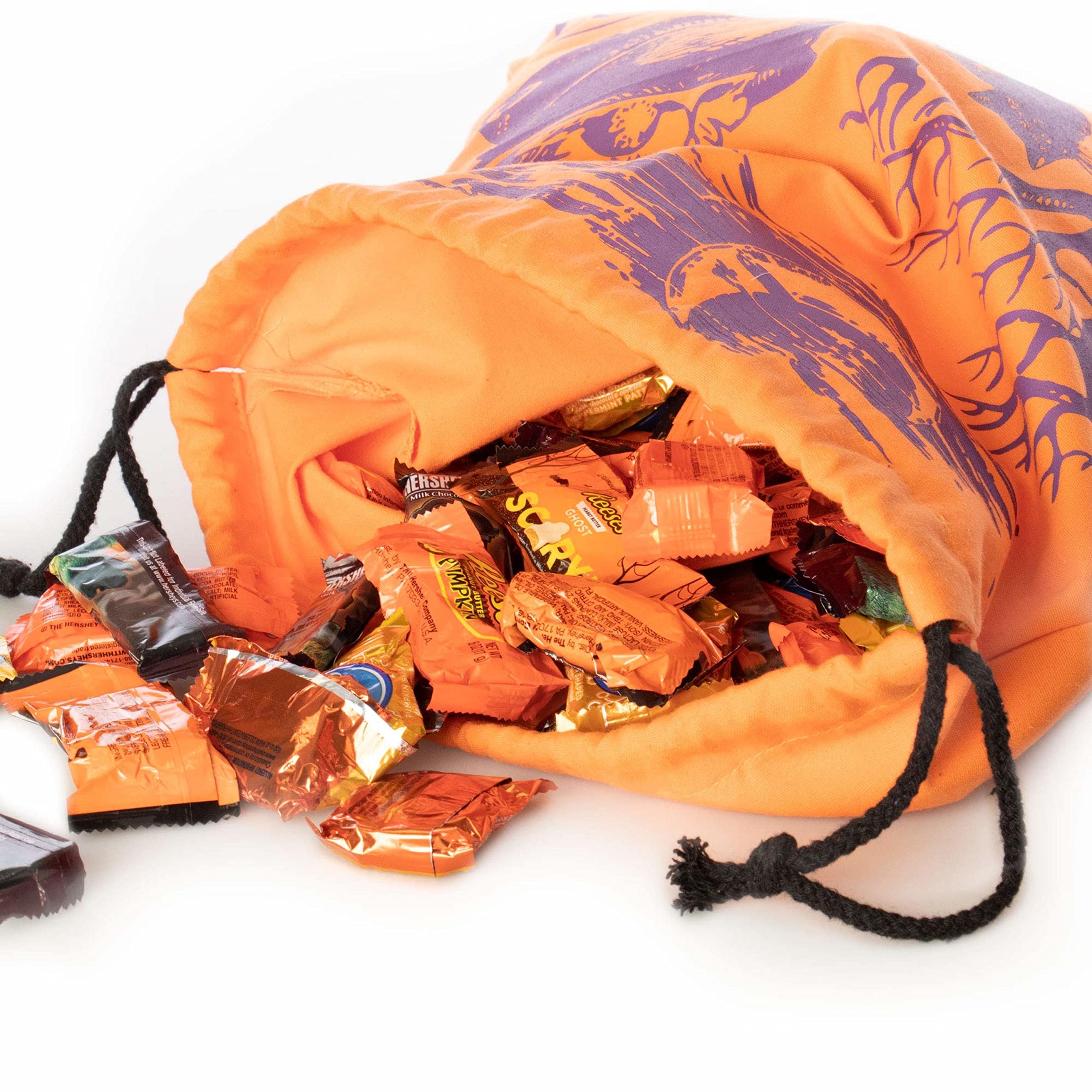 Halloween Trick or Treat Candy Bag | Washable Canvas Tote Bag | Drawstring Bag for Halloween Candy | Haunted House