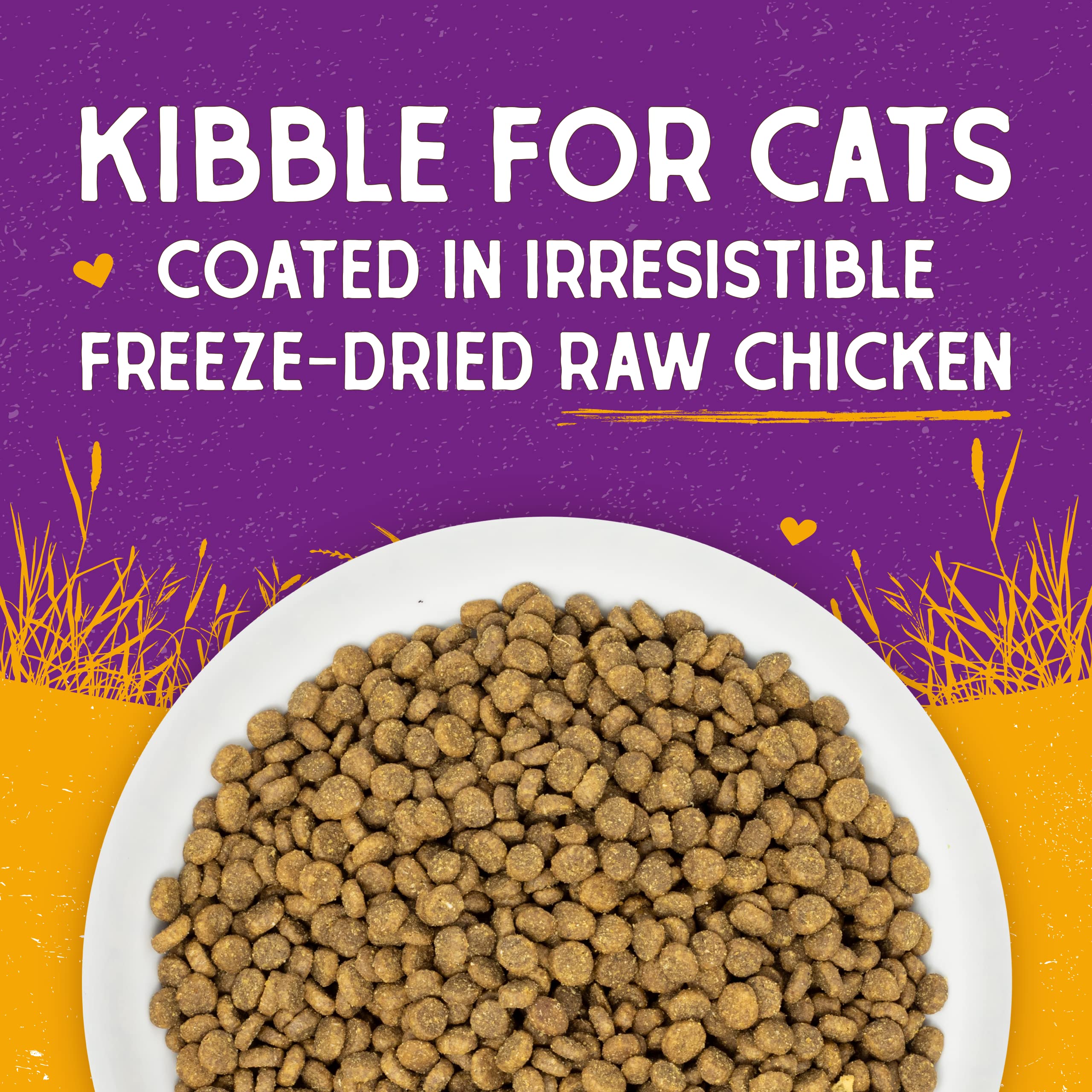 Stella & Chewy's Raw Coated Premium Kibble Cat Food – Grain Free, Protein Rich Meals – Cage-Free Chicken Recipe – 10 lb. Bag