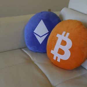 Bitcoin Pillows - Embroidered Round Stuffed Plush Crypto Pillow by BlockCraft.Shop BTC Plush Pillow