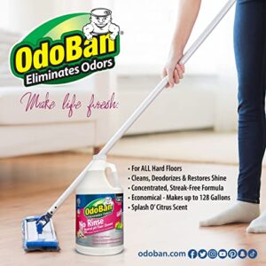 OdoBan Pet Solutions Oxy Stain Remover, 32 Ounce Spray, Neutral pH Floor Cleaner Concentrate, 1 Gallon, and 120 Dog Waste Pickup Bags