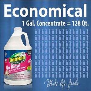 OdoBan Pet Solutions Oxy Stain Remover, 32 Ounce Spray, Neutral pH Floor Cleaner Concentrate, 1 Gallon, and 120 Dog Waste Pickup Bags