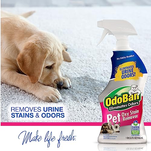 OdoBan Pet Solutions Oxy Stain Remover, 32 Ounce Spray, Neutral pH Floor Cleaner Concentrate, 1 Gallon, and 120 Dog Waste Pickup Bags