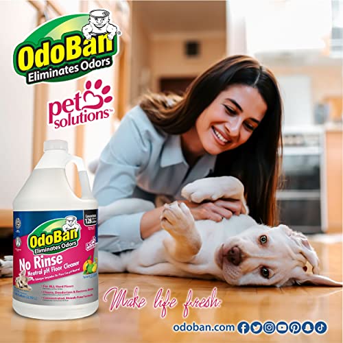 OdoBan Pet Solutions Oxy Stain Remover, 32 Ounce Spray, Neutral pH Floor Cleaner Concentrate, 1 Gallon, and 120 Dog Waste Pickup Bags