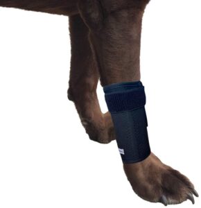 labra extra supportive dog canine front leg metal spring compression brace wrap sleeve protects wounds brace heals and prevents injuries and sprains helps with loss of stability caused by arthritis…