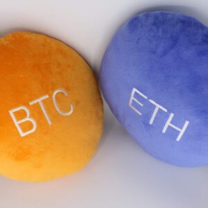 Bitcoin Pillows - Embroidered Round Stuffed Plush Crypto Pillow by BlockCraft.Shop BTC Plush Pillow