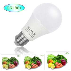 E26 E27 LED Light Bulbs 12V 24V Low Voltage 7W Daylight White 6000k Standard Edison Base 60w Halogen Bulb Equivalent A19 for Rv, Off Grid Solar Panel Project Lighting, Boat, Garden Landscape Pack of 2