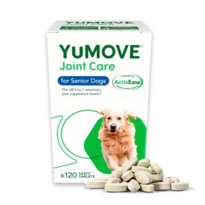 hip and joint supplement - 120 tablets for dogs with glucosamine, chondroitin, msm, omega 3, hyaluronic acid, green lipped mussel, & fish oil for dogs - joint support supplement - senior dogs