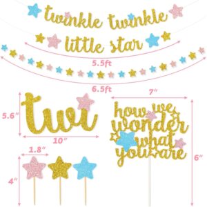 Twinkle Twinkle Little Star Party Decor Gender Reveal Birthday Party Decorations Pinkk Blue Gold Star Banner Cake Topper Balloons Moon and Star Boy or Girl He or She Baby Shower Supplies