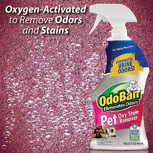 OdoBan Pet Solutions Oxy Stain Remover, 32 Ounce Spray, Neutral pH Floor Cleaner Concentrate, 1 Gallon, and 120 Dog Waste Pickup Bags