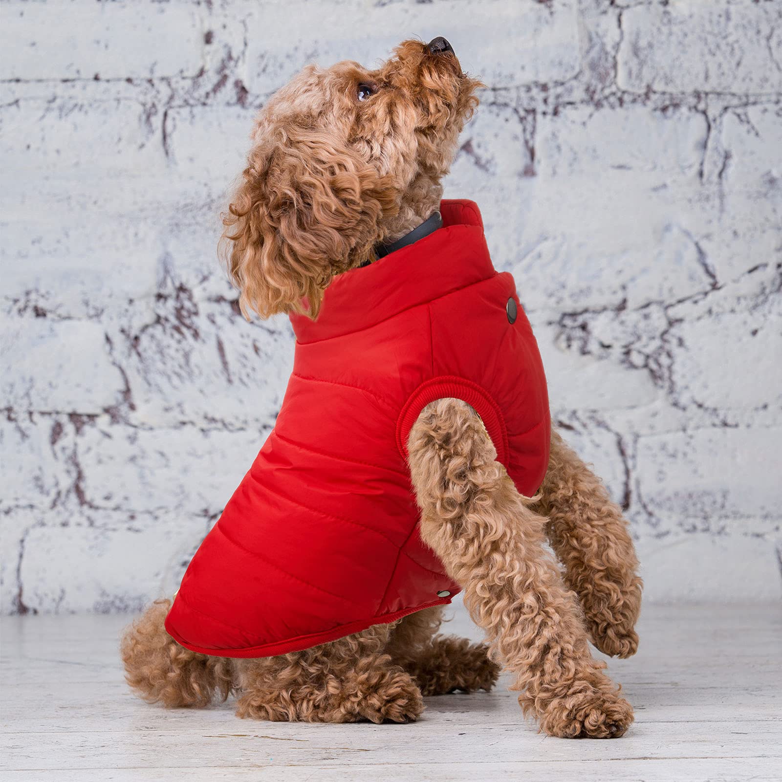 2 Pieces Pet Dog Jacket 2 Layers Fleece Lined Dog Jacket Warm Soft Windproof Small Dog Coat for Winter Cold Weather (Navy, Red, Small)