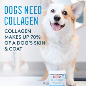 The Missing Link Collagen Care Skin & Coat Soft Chews 60ct - Daily Hair Growth, Healthy Skin & Strong Nails Support for Dogs