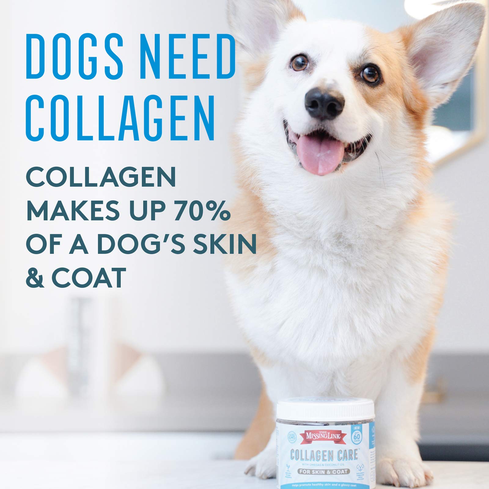 The Missing Link Collagen Care Skin & Coat Soft Chews 60ct - Daily Hair Growth, Healthy Skin & Strong Nails Support for Dogs